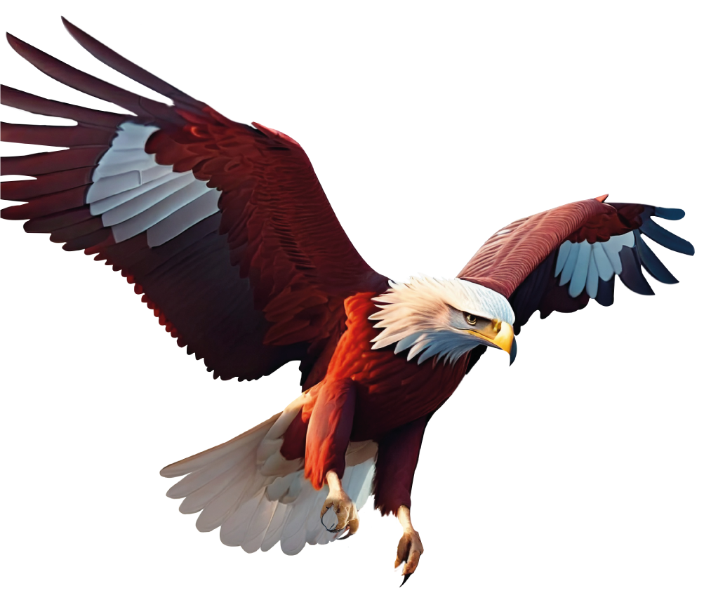 UCACUE - Universidad Católica de Cuenca